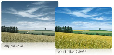 BenQ W6000 Projector at Just Projectors!