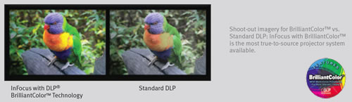 Projectors Infocus at Just Projectors! INFOCUS IN3102 DLP MULTIPURPOSE ...