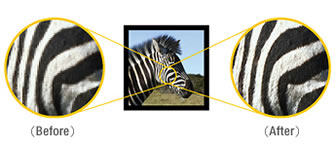 Optoma EP728 Projector at Just Projectors!